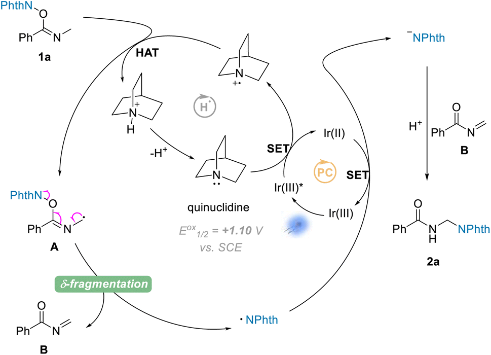 Visible-light-induced dual catalysis for N -α C(sp 3 )–H amination and ...