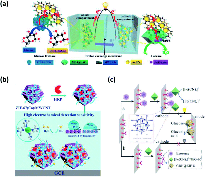 Applications of metal–organic framework-based bioelectrodes - Chemical ...