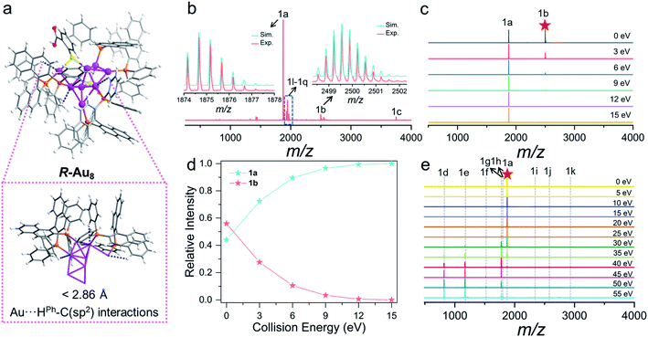 Bicarbonate insertion triggered self-assembly of chiral octa-gold ...