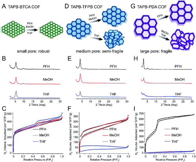Understanding fragility and engineering activation stability in two ...