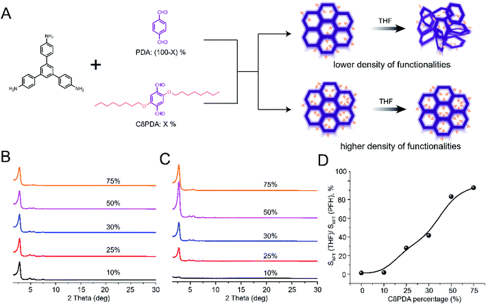 Understanding fragility and engineering activation stability in two ...
