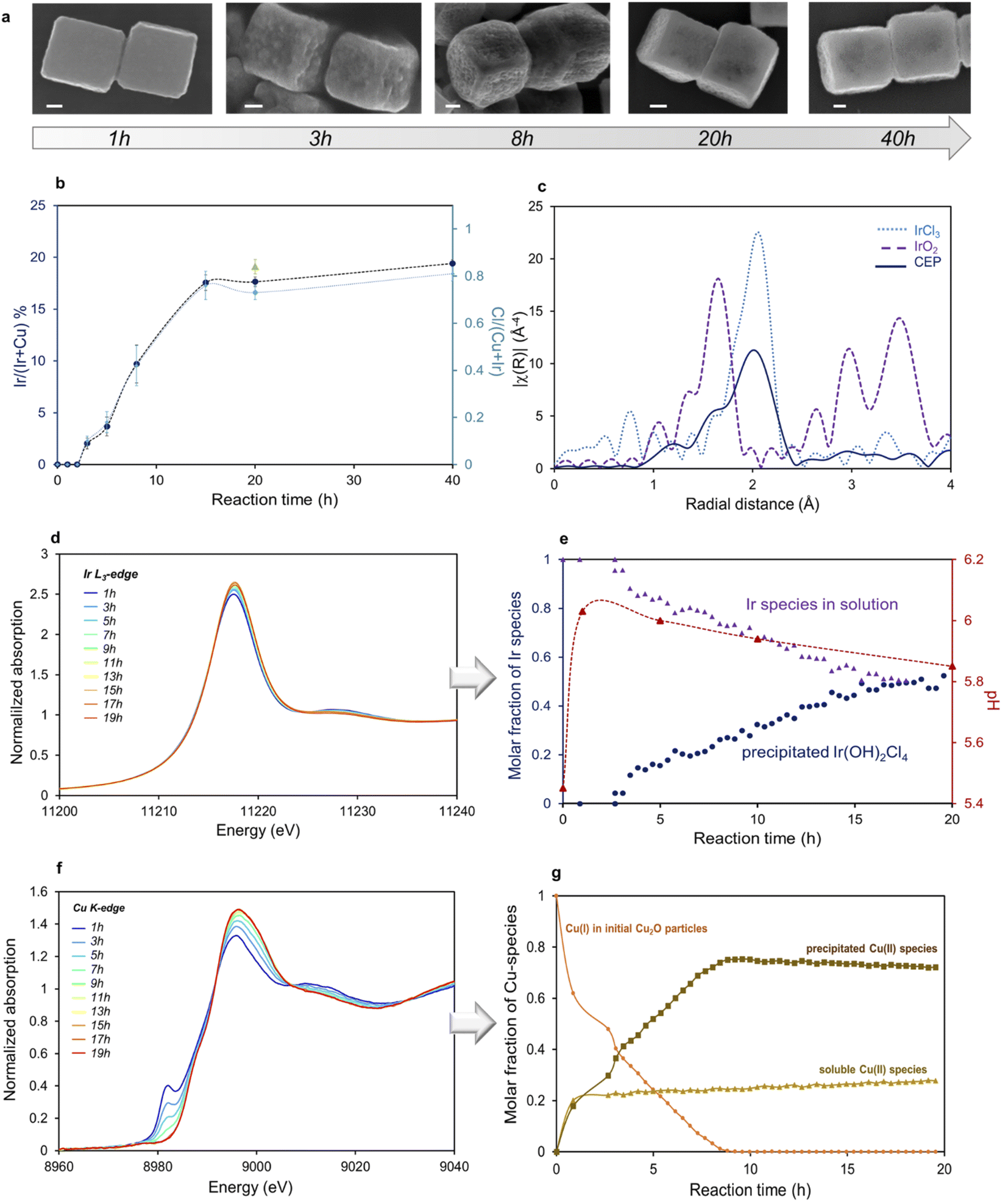 Green synthesis of water splitting electrocatalysts: IrO 2 nanocages ...