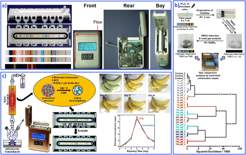 Multi-analyte sensing strategies towards wearable and intelligent ...