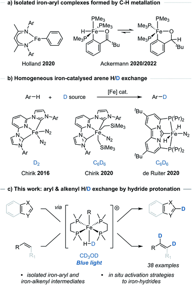 Iron-catalysed alkene and heteroarene H/D exchange by reversible ...
