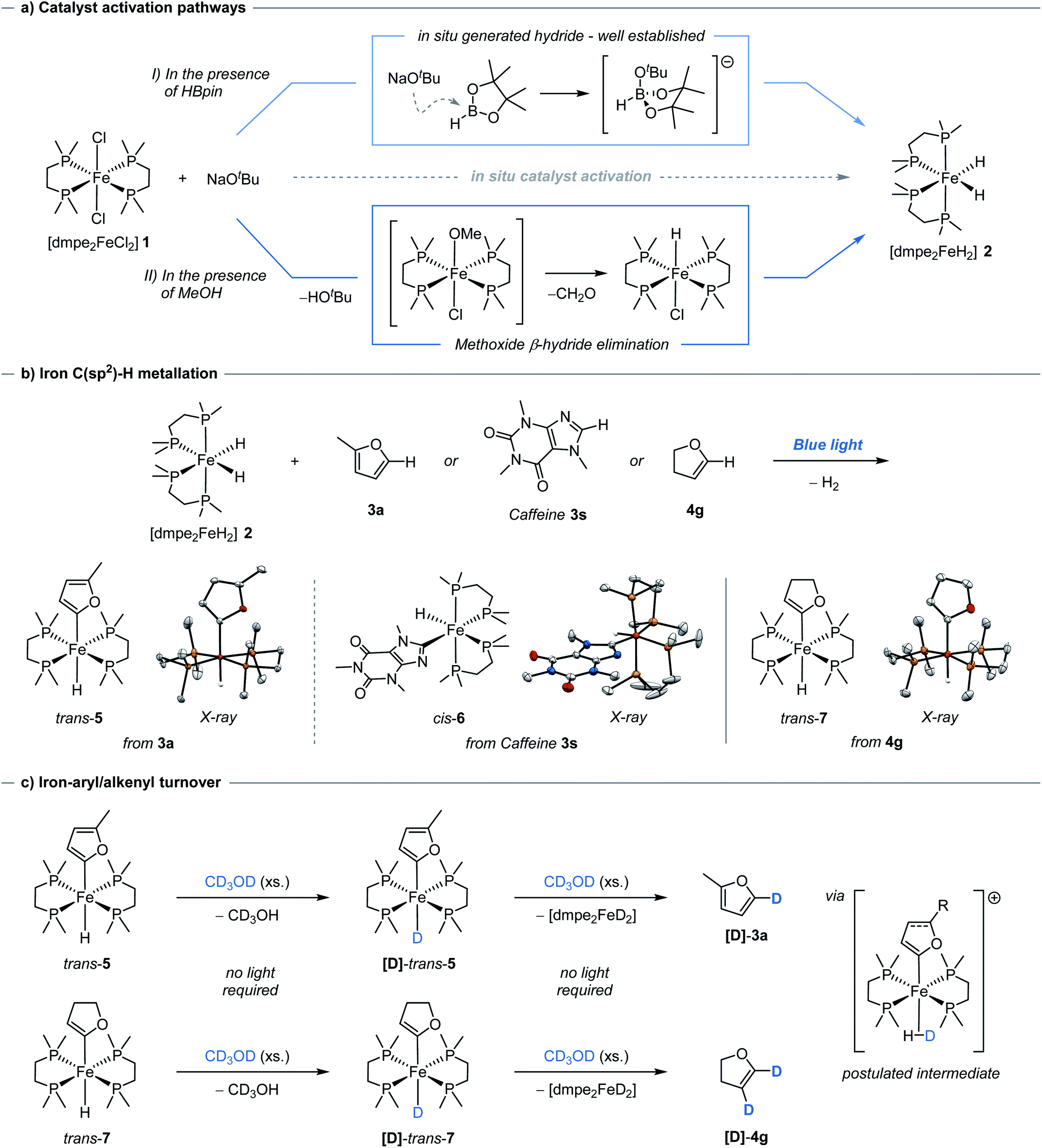 Iron-catalysed alkene and heteroarene H/D exchange by reversible ...