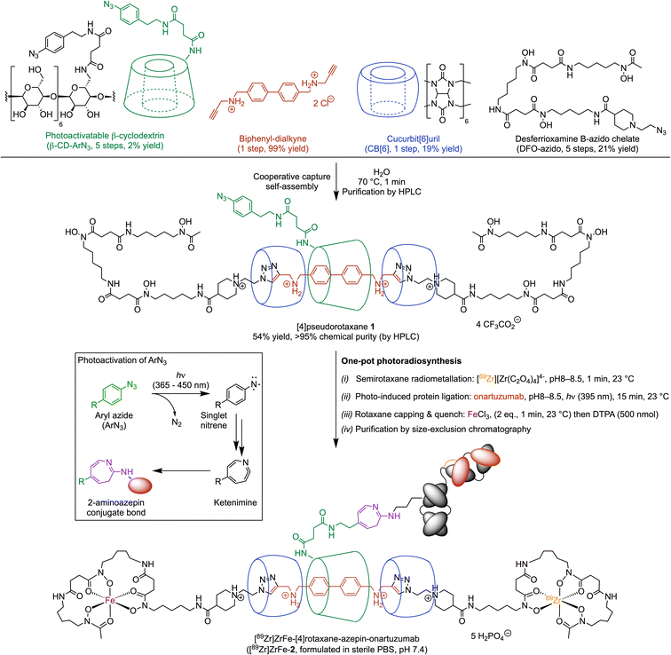 A rotaxane-based platform for tailoring the pharmacokinetics of cancer ...