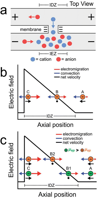 Electrokinetic separation techniques for studying nano- and ...