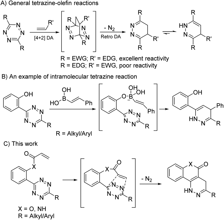 Intramolecular tetrazine-acryloyl cycloaddition: chemistry and ...