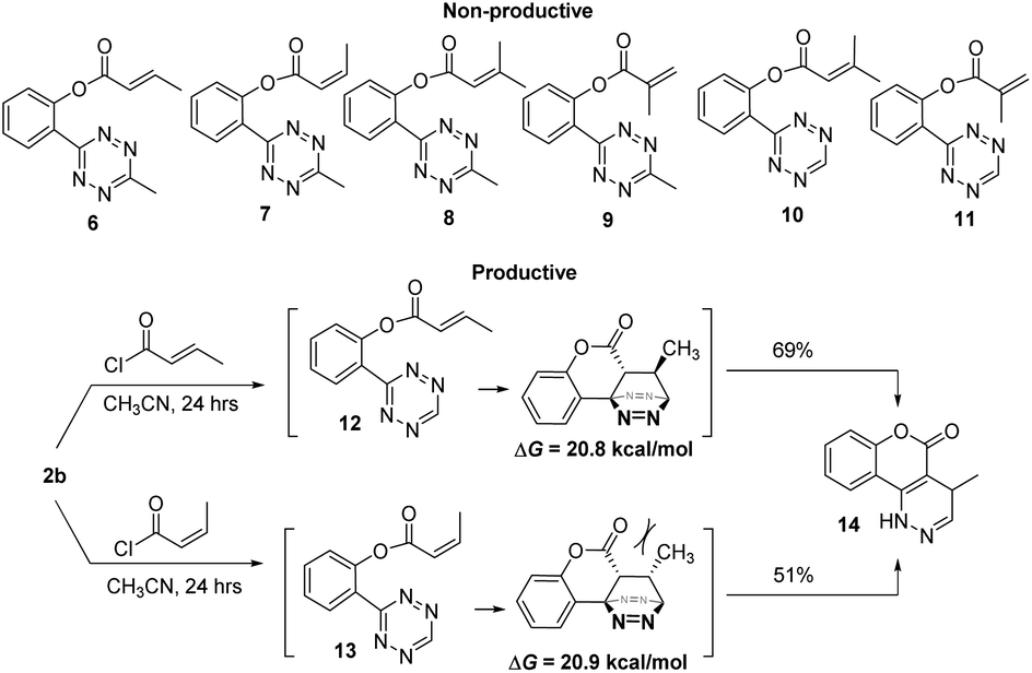 Intramolecular tetrazine-acryloyl cycloaddition: chemistry and ...