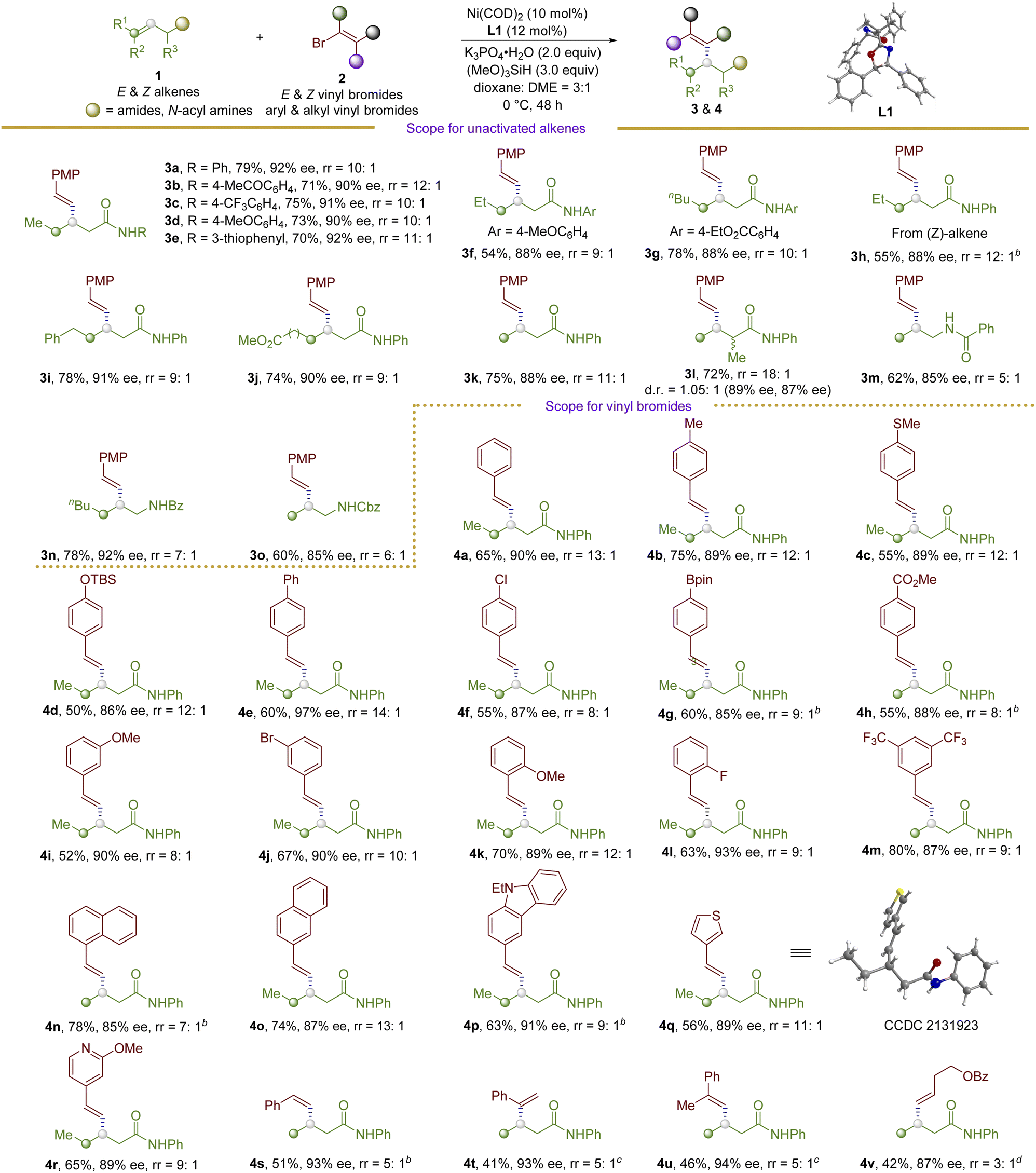 Access to dialkylated allylic stereogenic centers by Ni-catalysed ...