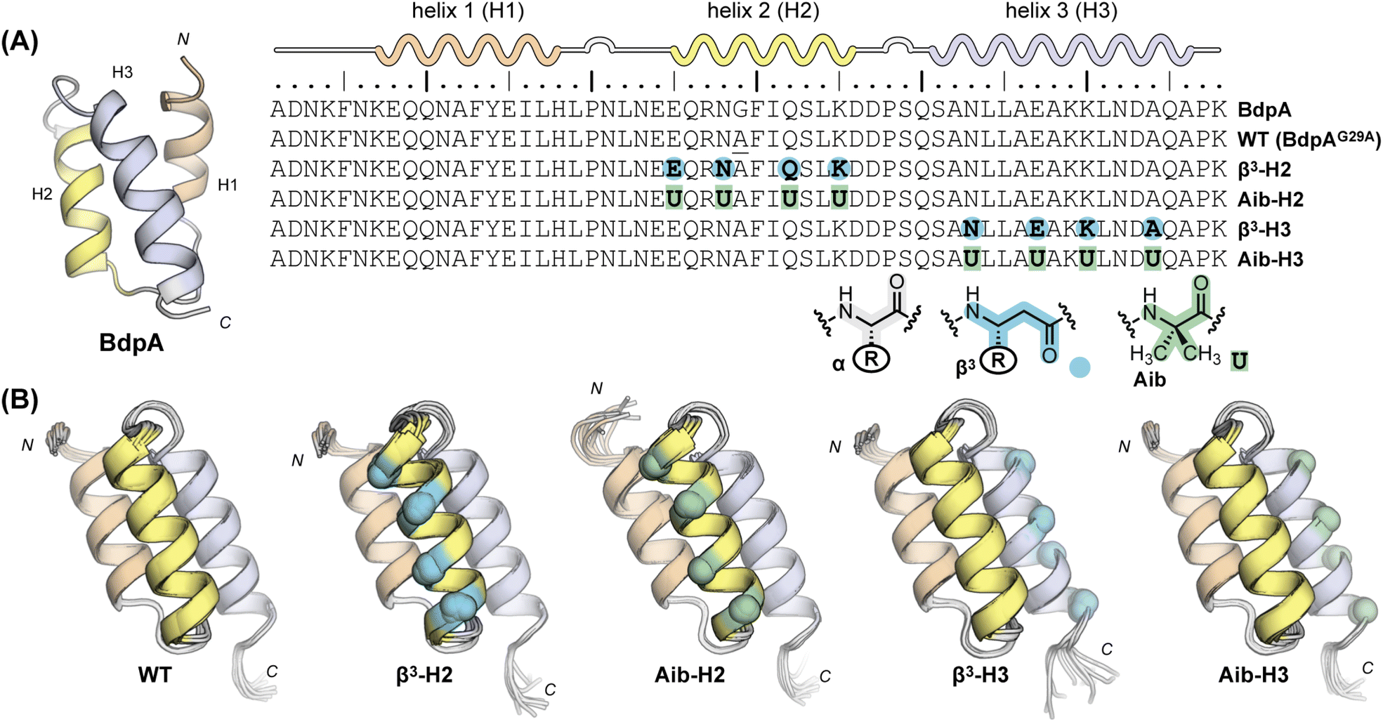 Implications of the unfolded state in the folding energetics of ...