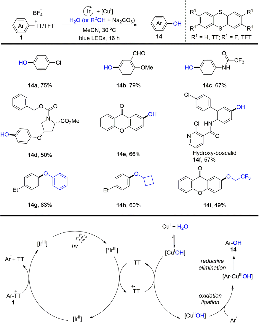 Organothianthrenium salts: synthesis and utilization - Chemical Science ...