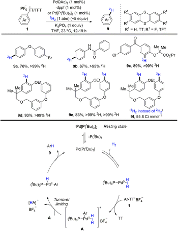 Organothianthrenium salts: synthesis and utilization - Chemical Science ...