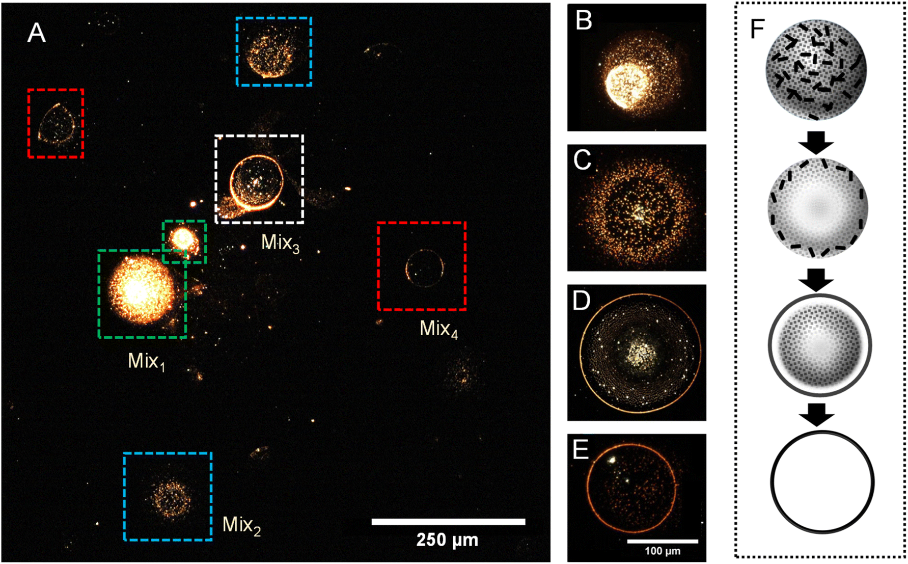 Spatial reorganization of analytes in charged aqueous microdroplets ...
