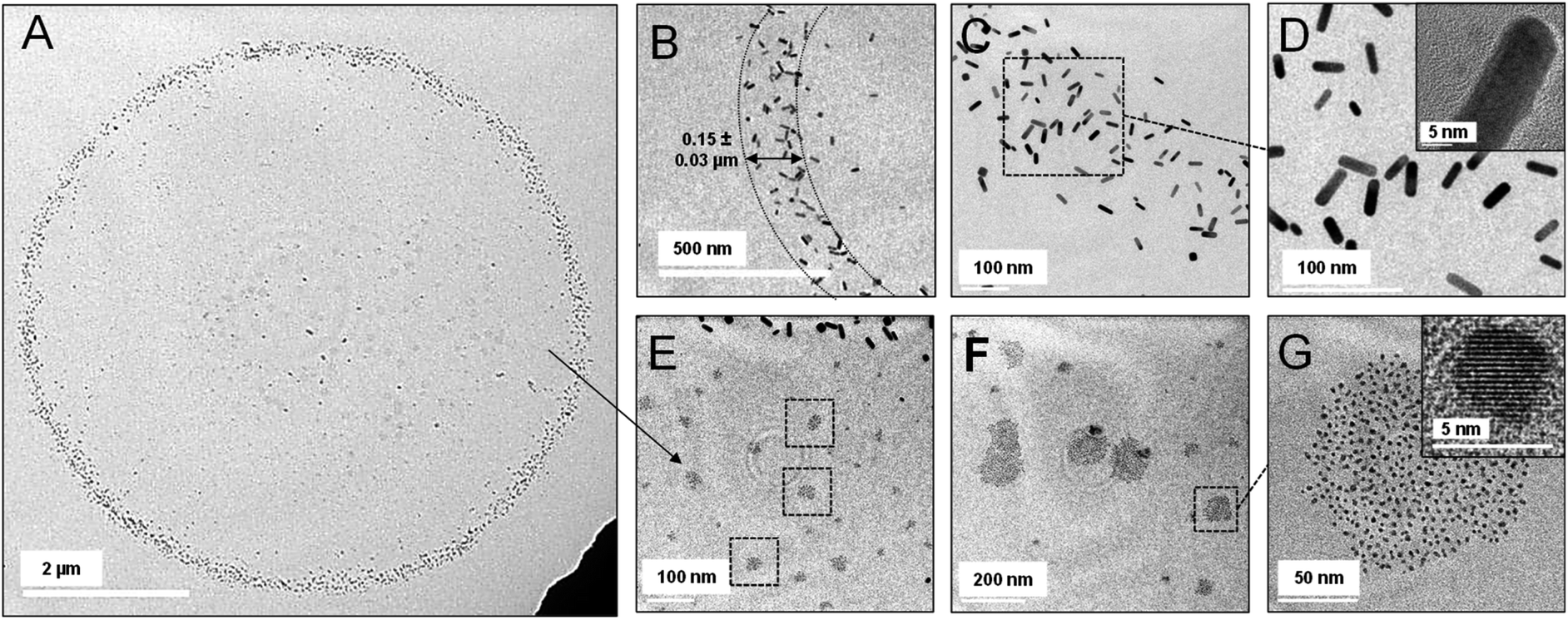 Spatial reorganization of analytes in charged aqueous microdroplets ...