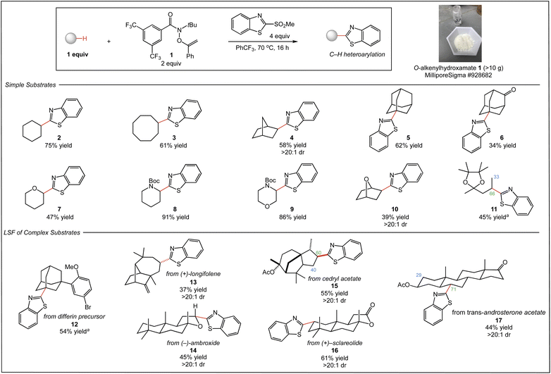 Heteroarylation of unactivated C–H bonds suitable for late-stage ...