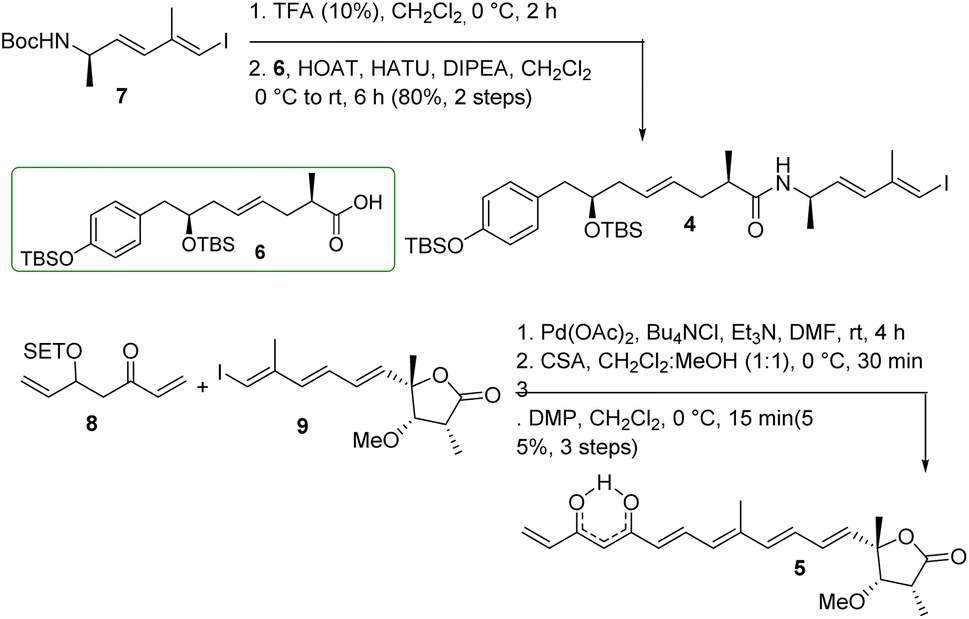 Total synthesis of the antibacterial polyketide natural product ...