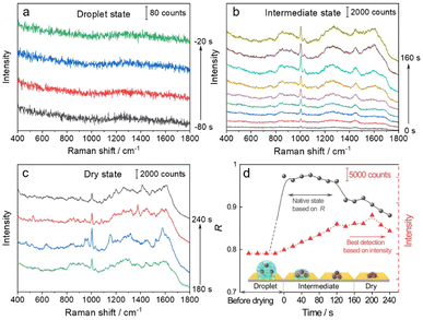 Correlation coefficient-directed label-free characterization of native ...