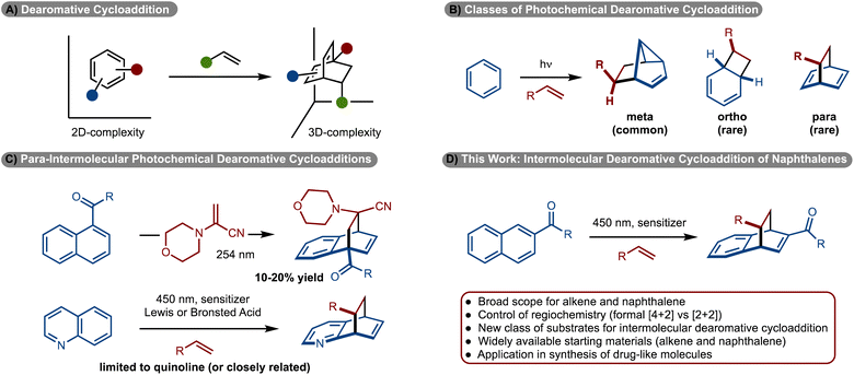 Synthesis of complex bicyclic scaffolds by intermolecular ...