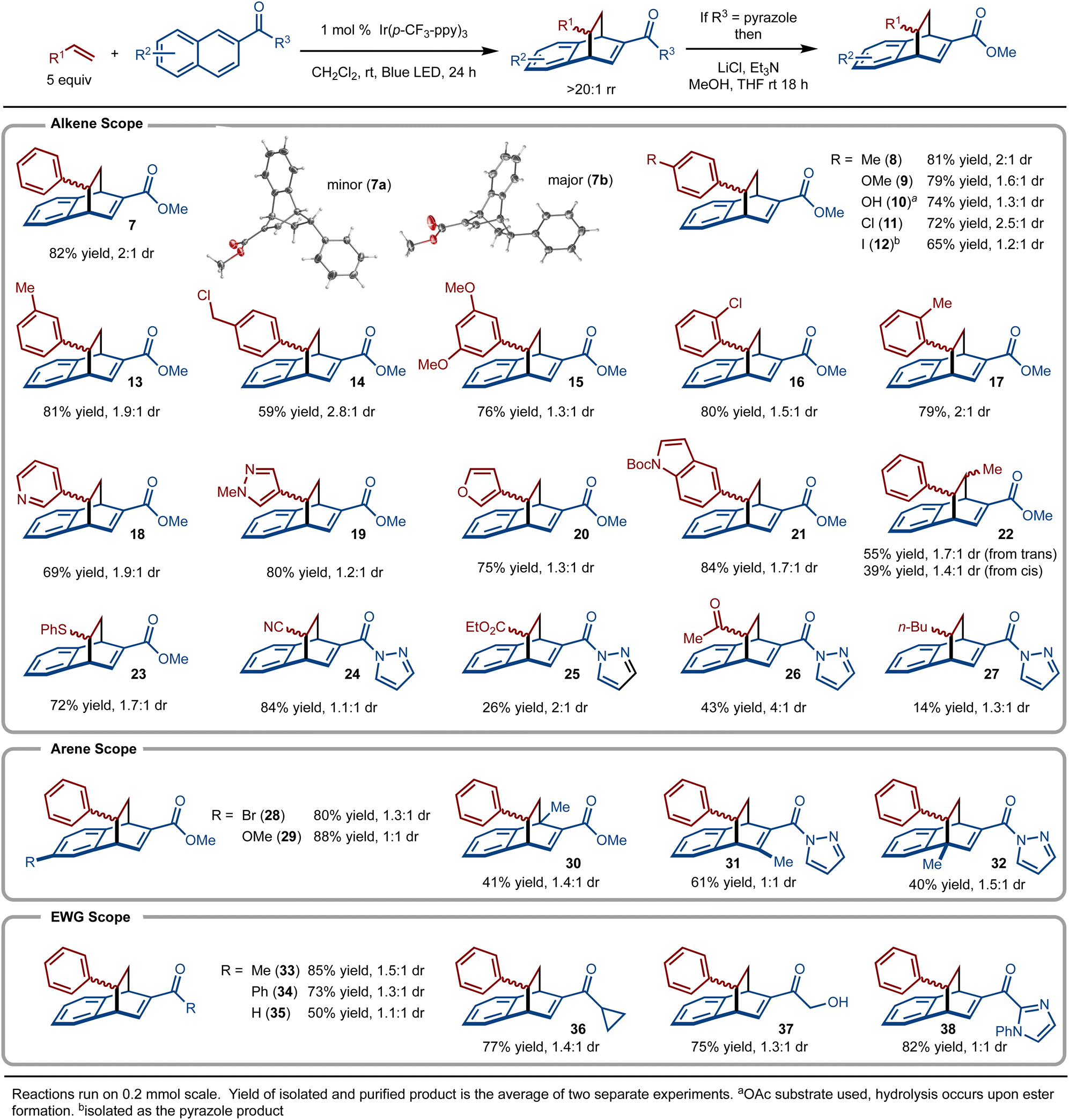Synthesis of complex bicyclic scaffolds by intermolecular ...