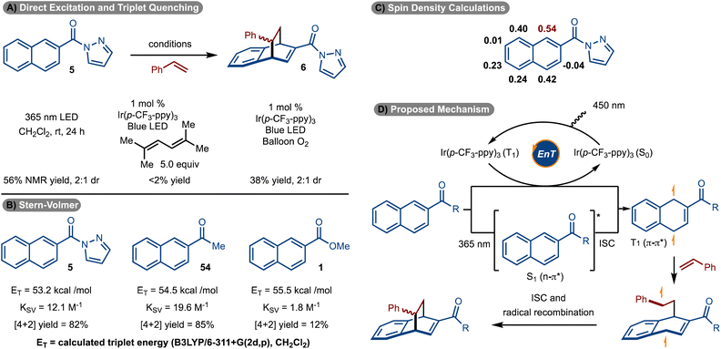 Synthesis of complex bicyclic scaffolds by intermolecular ...