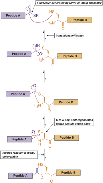Chemical tools for study and modulation of biomolecular phase ...
