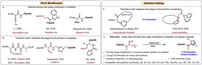 Selective editing of a peptide skeleton via C–N bond formation at N ...