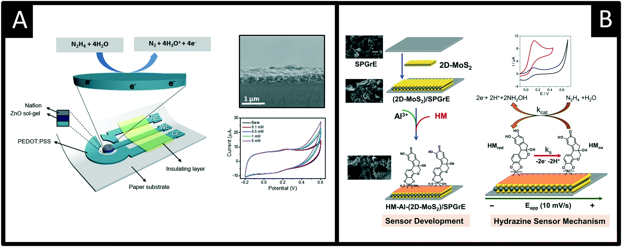 Electroanalytical overview: the electroanalytical sensing of hydrazine ...