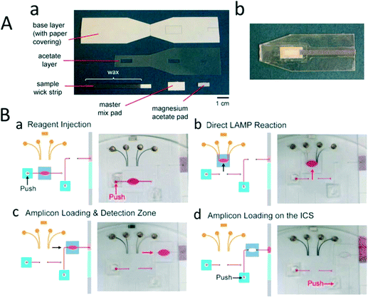 Recent developments towards portable point-of-care diagnostic devices ...