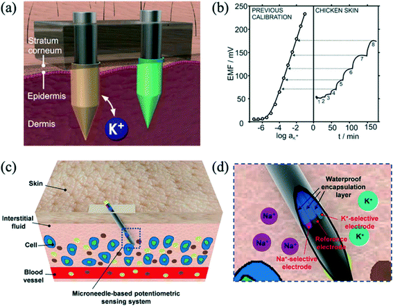 Point-of-care and self-testing for potassium: recent advances - Sensors ...