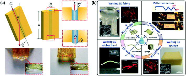 Organic ionic fluid-based wearable sensors for healthcare - Sensors ...