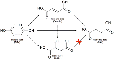 Aqueous phase hydrogenation of maleic acid to succinic acid mediated by ...