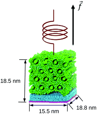 Gecko adhesion: a molecular-simulation perspective on the effect of ...