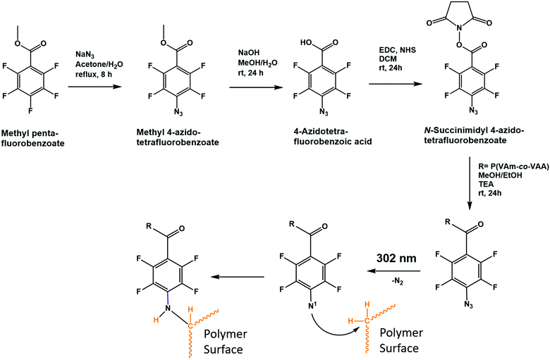 A facile method for grafting functional hydrogel films on PTFE, PVDF ...