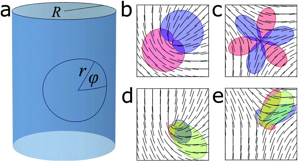 Coupling the topological defect phase to the extrinsic curvature in nematic shells - Soft Matter ...