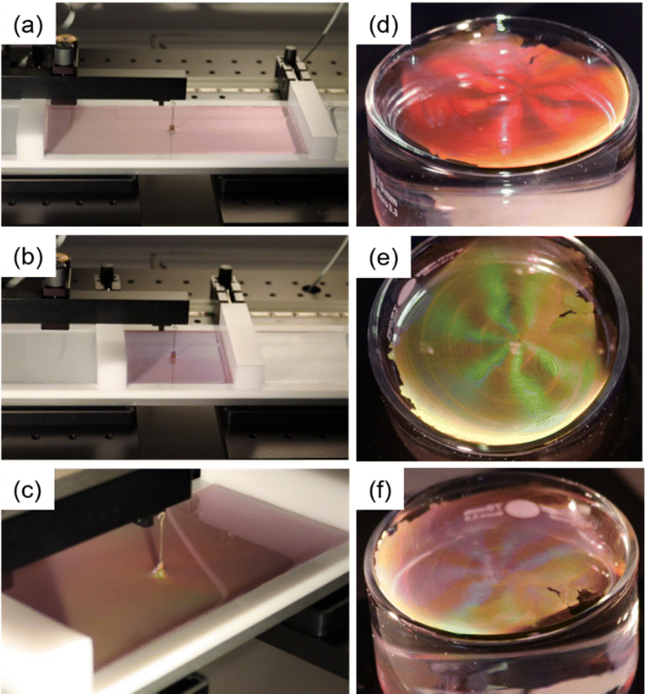 Fluid interface-assisted assembly of soft microgels: recent developments for structures beyond ...