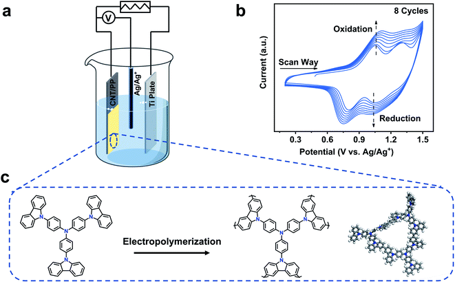 Electropolymerized thin films with a microporous architecture enabling ...