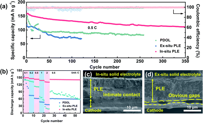 In situ construction of polyether-based composite electrolyte with bi ...