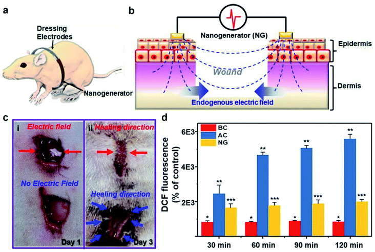 Balancing charge dissipation and generation: mechanisms and strategies ...
