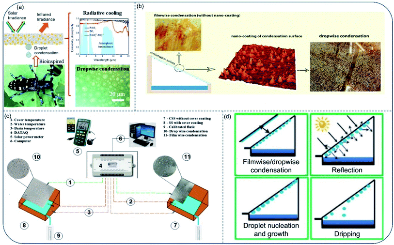 Advanced solar desalination on superwetting surfaces - Journal of ...