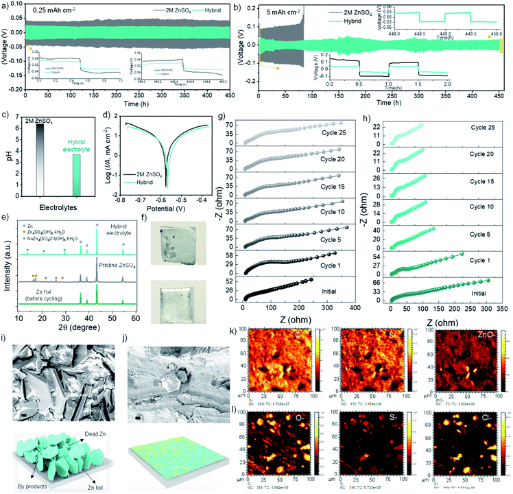 Durable Zn-ion hybrid capacitors using 3D printed carbon composites ...