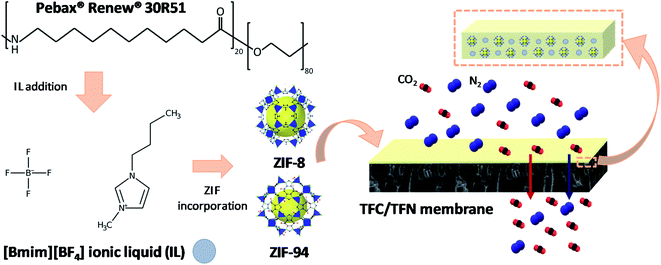 Highly stable Pebax® Renew® thin-film nanocomposite membranes with ...