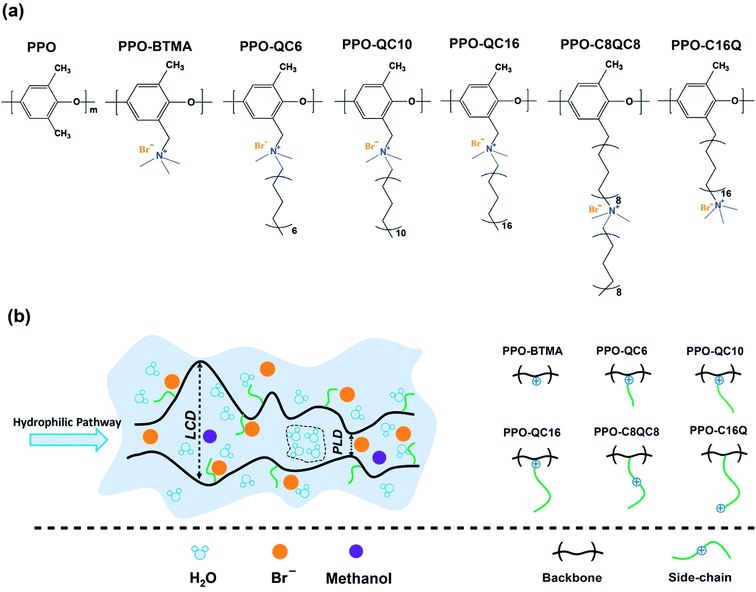 Understanding ion diffusion in anion exchange membranes; effects of ...