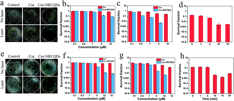 Orange-red to NIR emissive carbon dots for antimicrobial, bioimaging ...