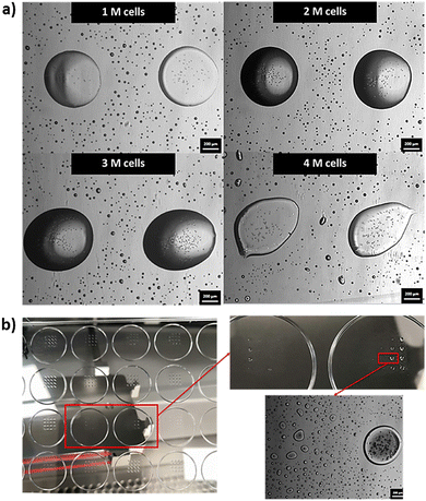Improving printability of hydrogel-based bio-inks for thermal inkjet ...