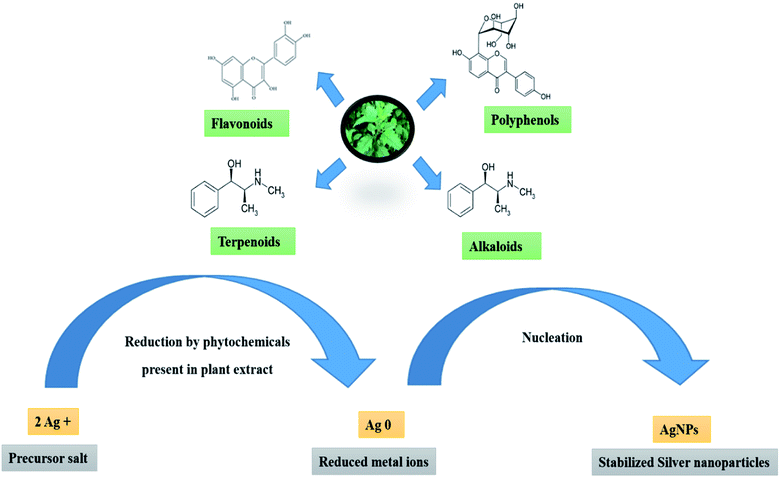 Synthesis and catalytic applications of silver nanoparticles: a ...