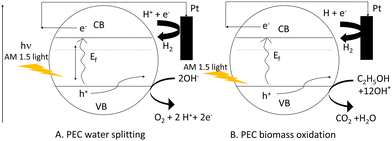 Photoelectrochemical glycerol oxidation on Mo-BiVO 4 photoanodes shows ...