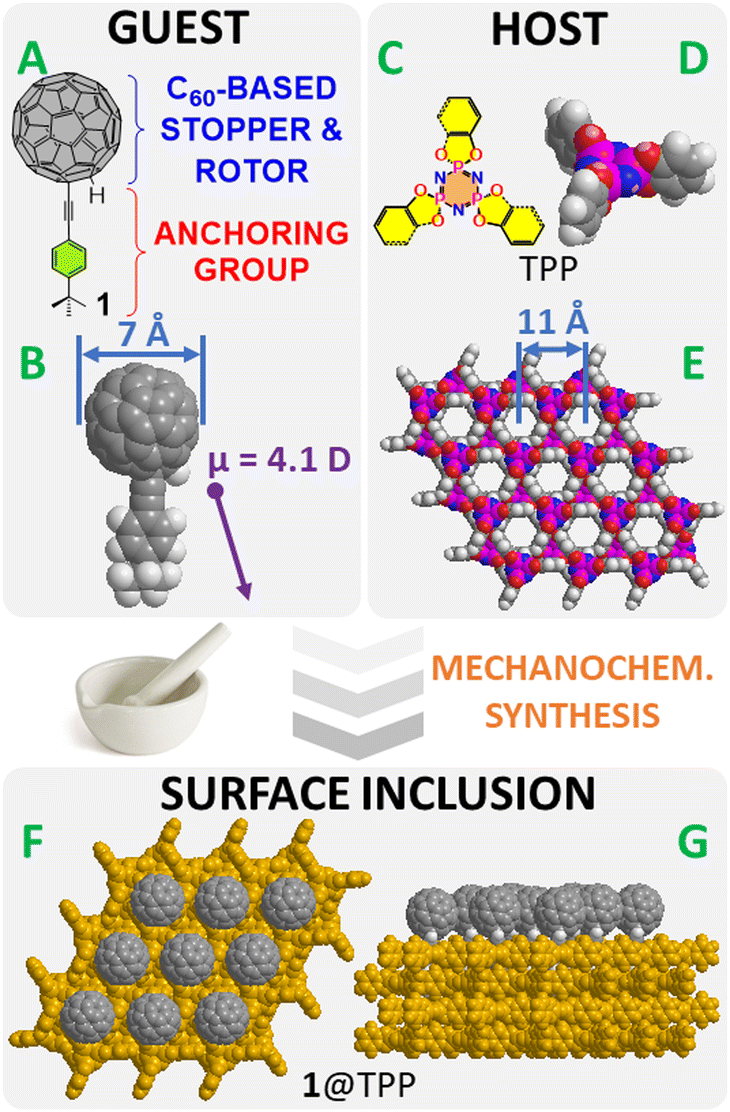 Regular arrays of C 60 -based molecular rotors mounted on the surface ...