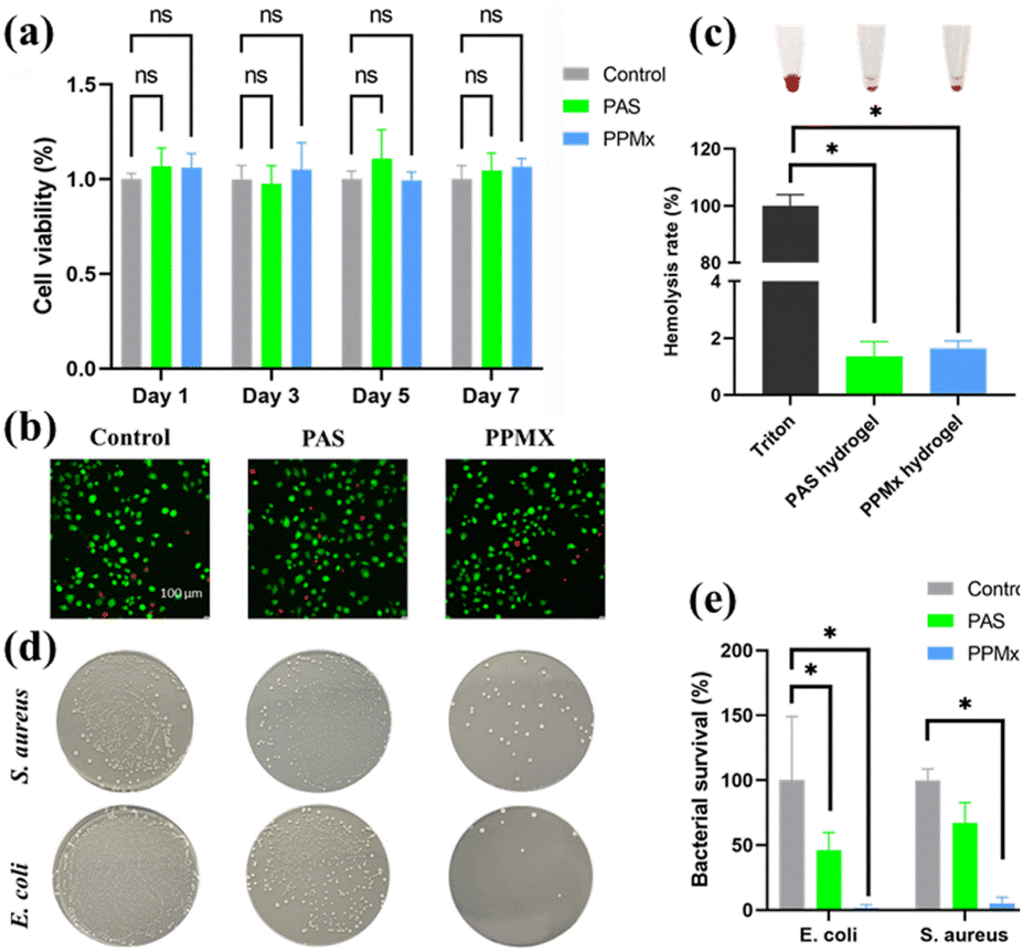 Skin-inspired antibacterial conductive hydrogels customized Skin-inspired antibacterial conductive hydrogels customized