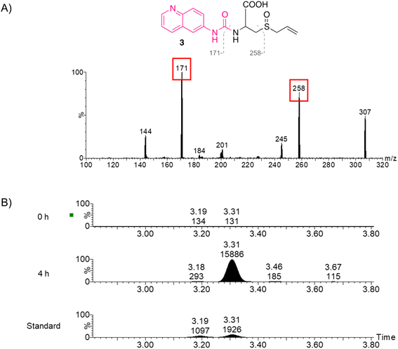 A novel screening method for free non-standard amino acids in human ...